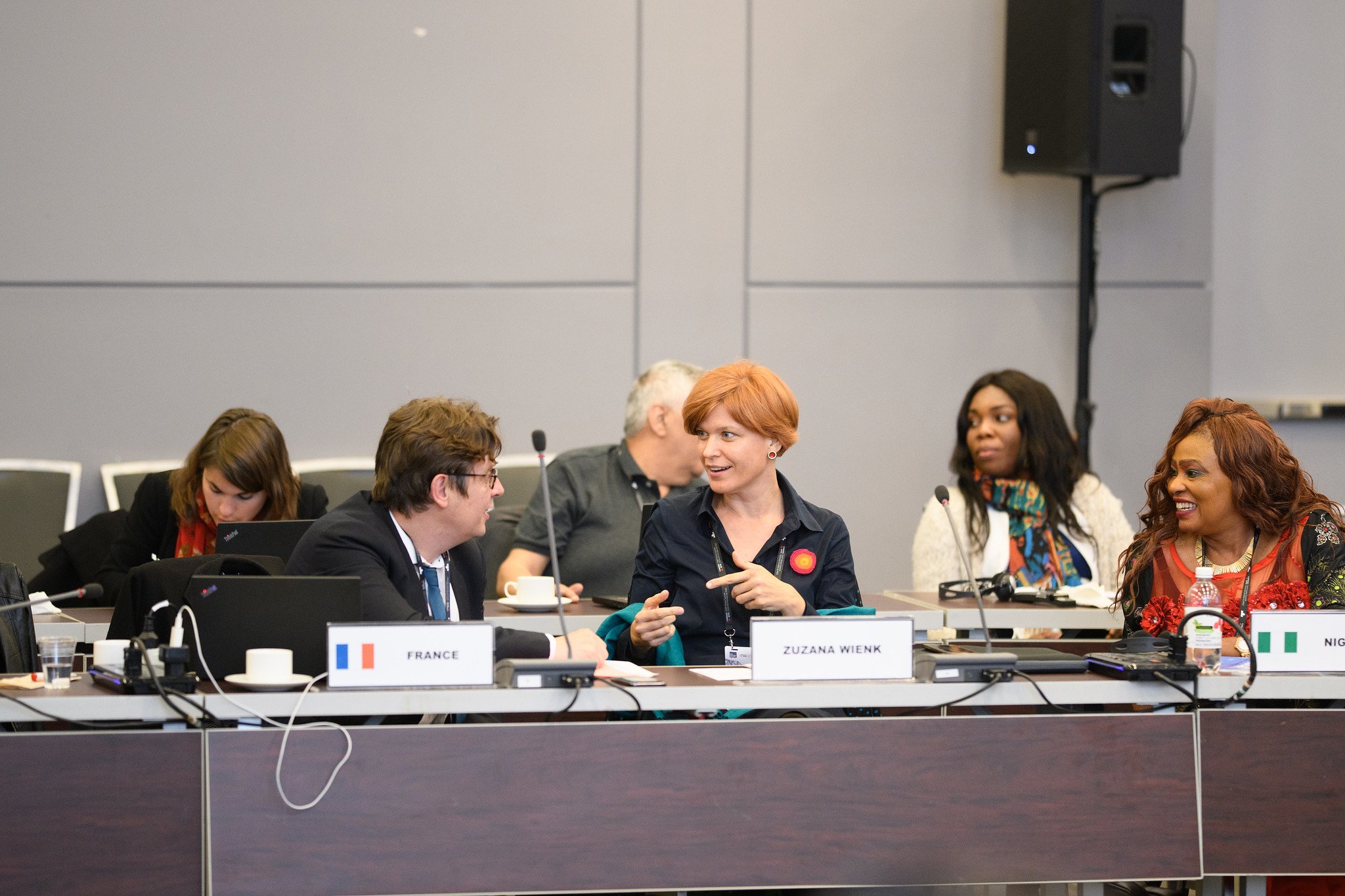 About the Steering Committee