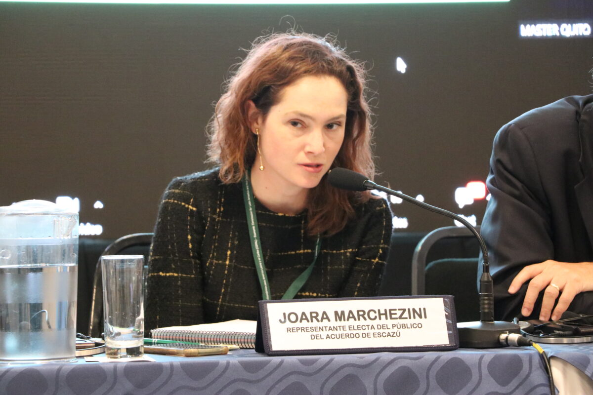 Faces of Open Government: Joara Marchezini Faces of Open Government: Joara Marchezini