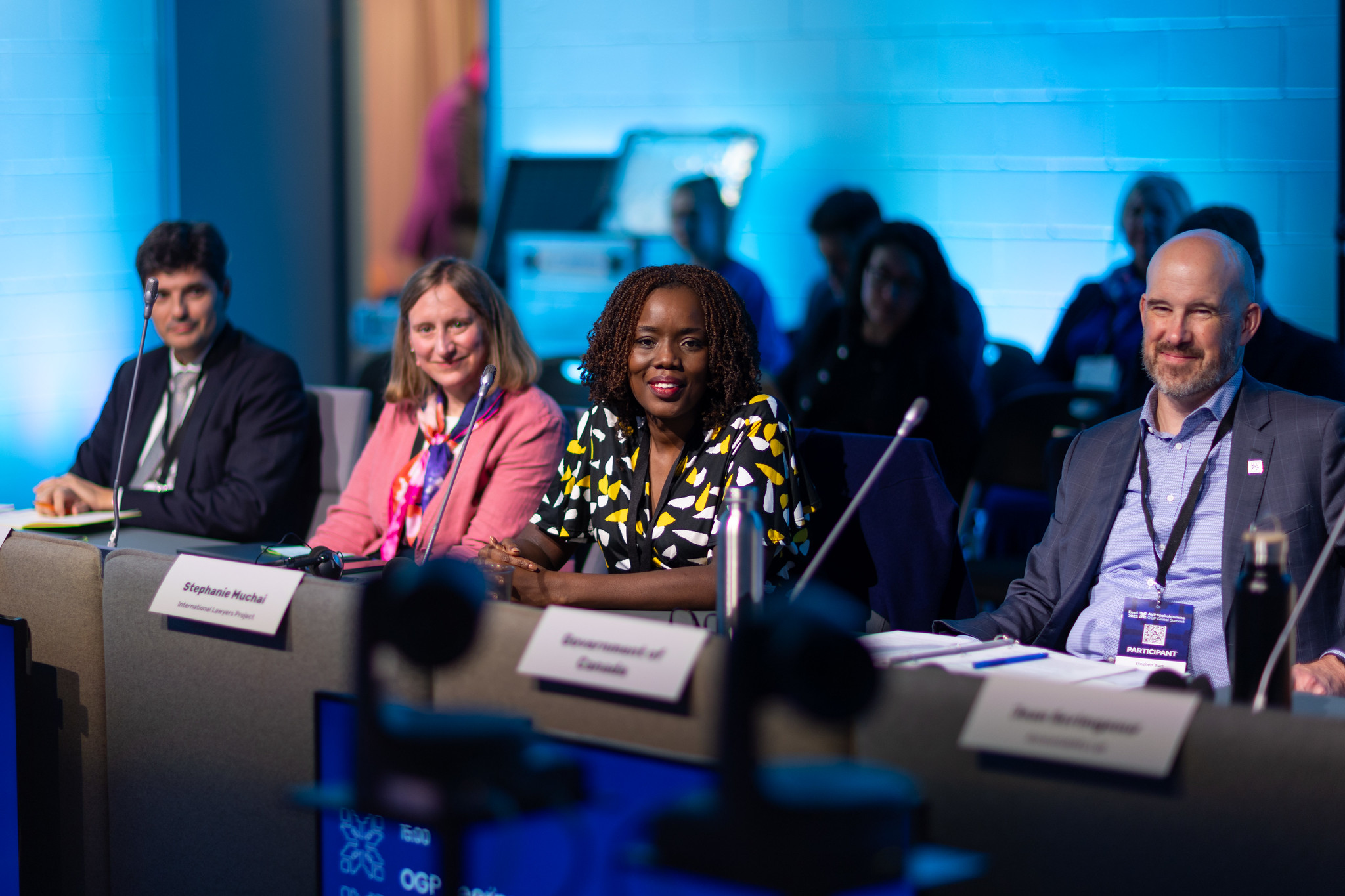 Steering Committee Composition