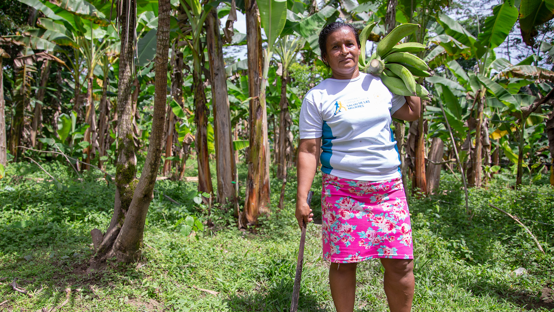 How to Advance Climate and Environment Reform through the Open Gov ...